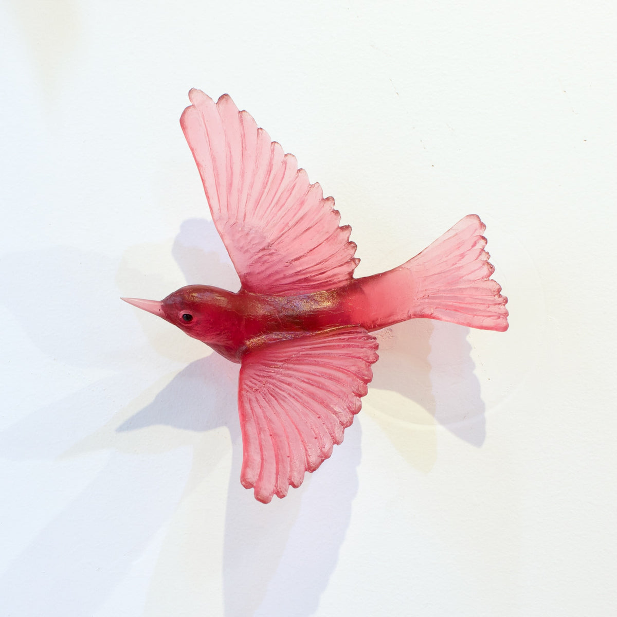LJ936Q: Silvereye - gold ruby – Quadrant Gallery