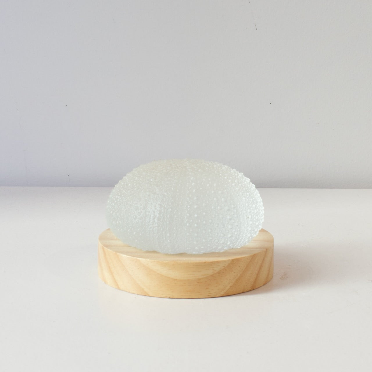 RH370: Kina light – Quadrant Gallery