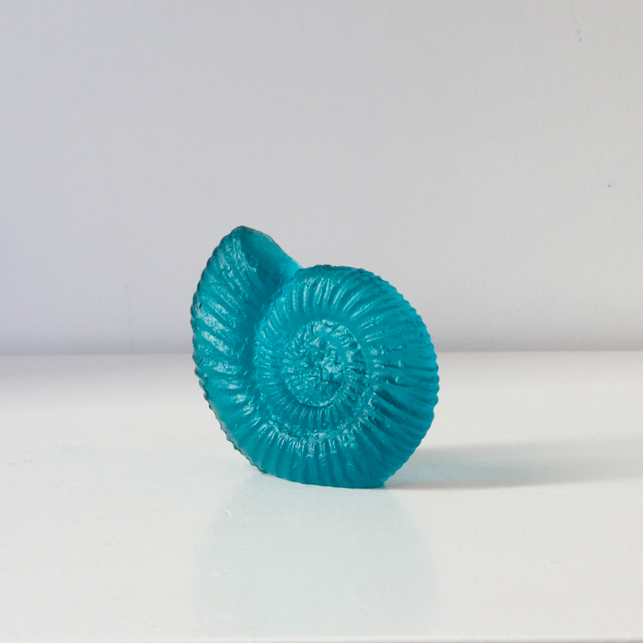 RH538A: Ammonite - jade – Quadrant Gallery