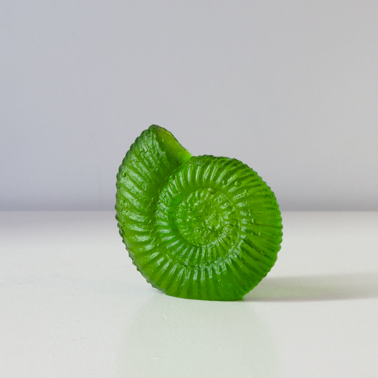 RH539A: Ammonite - green – Quadrant Gallery